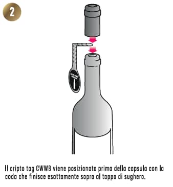 ANTI-COUNTERFEITING AND TRACEABILITY HERE IS THE SOLUTION - IWCB ...